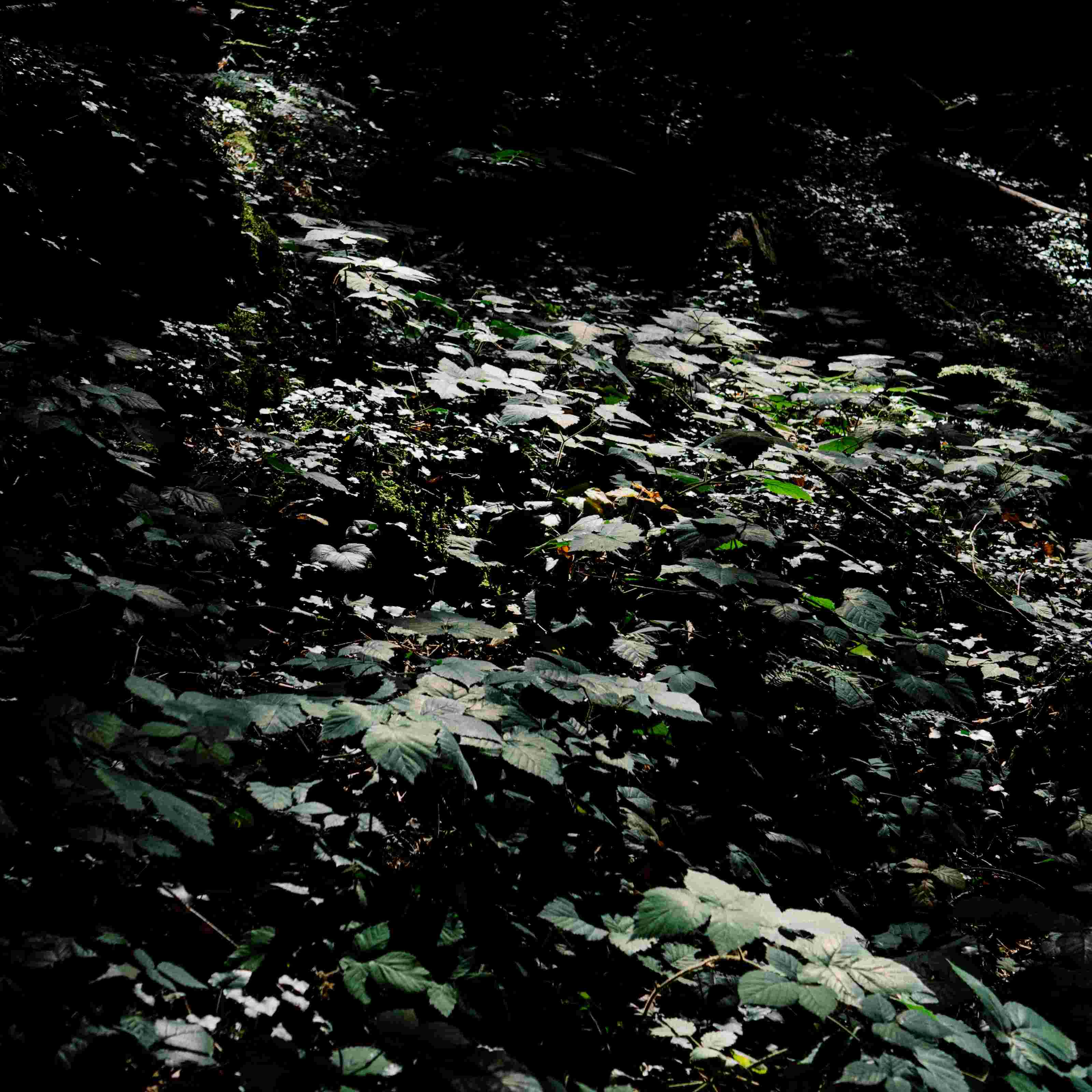 stegi.radio | Onassis Stegi